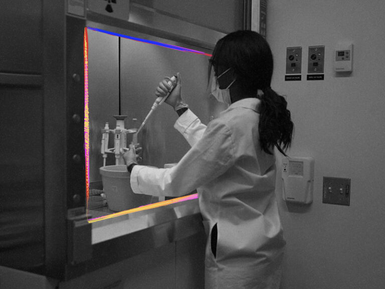 Research Team The Royal